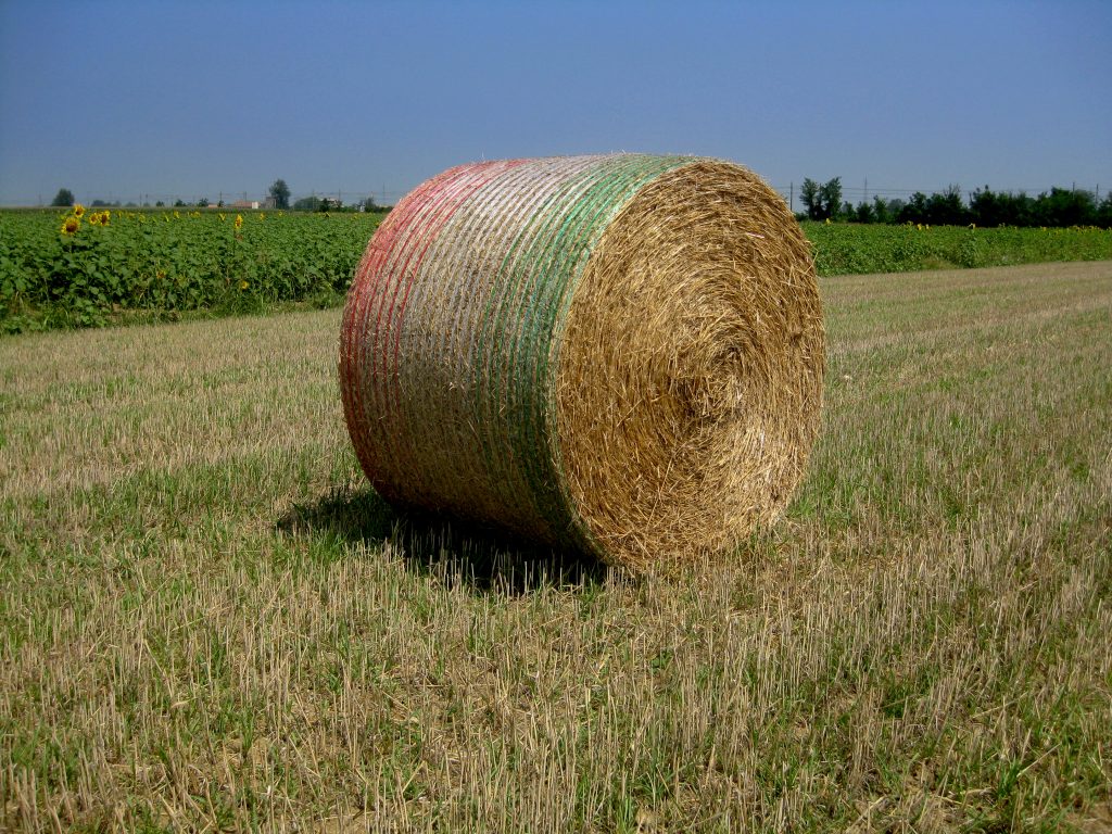 Winner ML - Novatex Italia International | Innovative solutions for ...