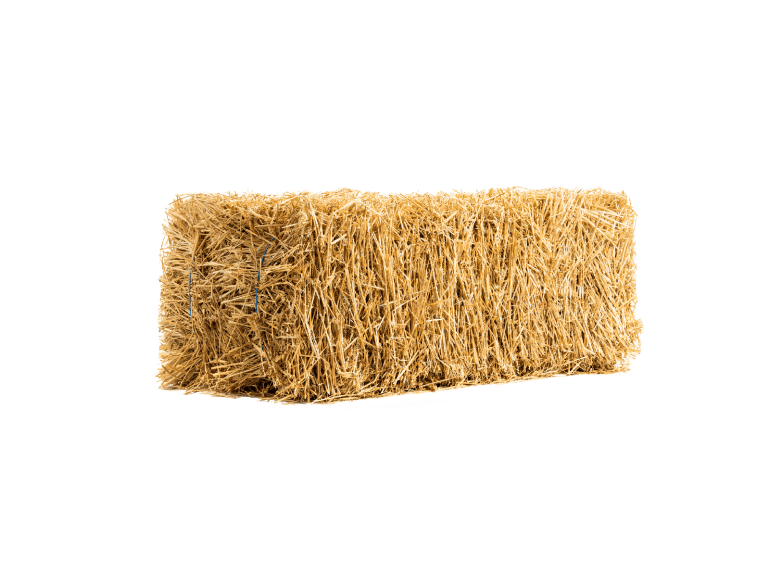 Home - Novatex Italia International | Innovative solutions for forage ...